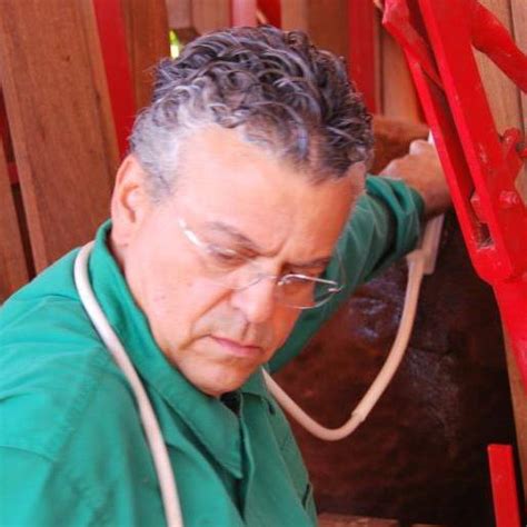 Intramuscular Fat Prediction Using Color and Image Analysis of Bísaro Pork Breed[v1] | Preprints.org