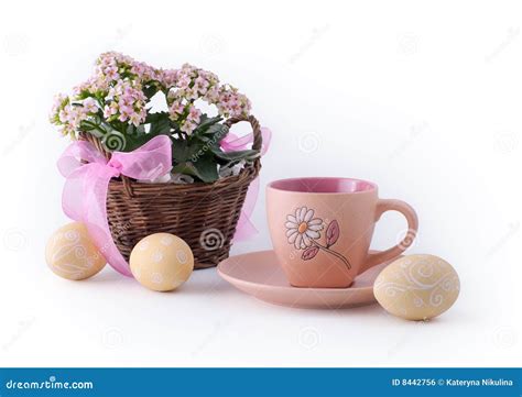 Easter cheer stock photo. Image of congratulation, happy - 8442756