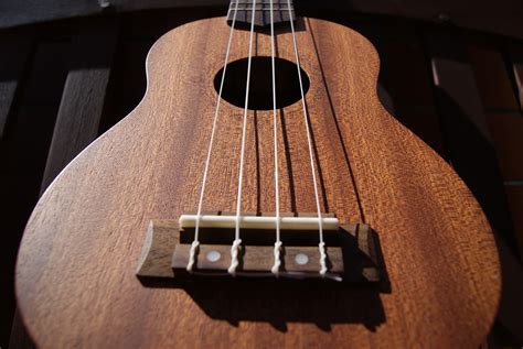 100+ Free Ukulele & Music Photos - Pixabay