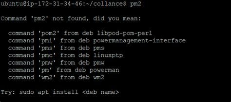 node.js - Command 'pm2' not found - Stack Overflow