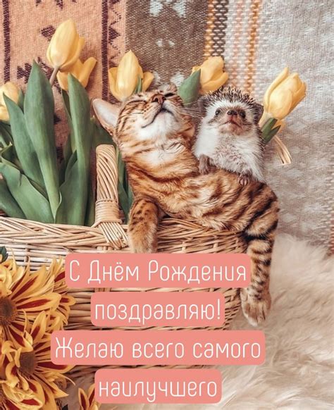 Картинки с надписями. С Днём Рождения поздравляю! Желаю всего самого ...