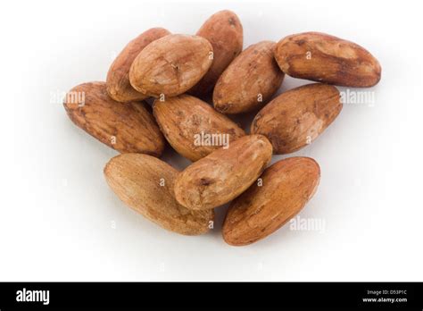 Cocoa beans on white background Stock Photo - Alamy