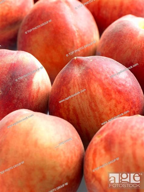 Essence, Stock Photo, Picture And Royalty Free Image. Pic. WR2746669 ...