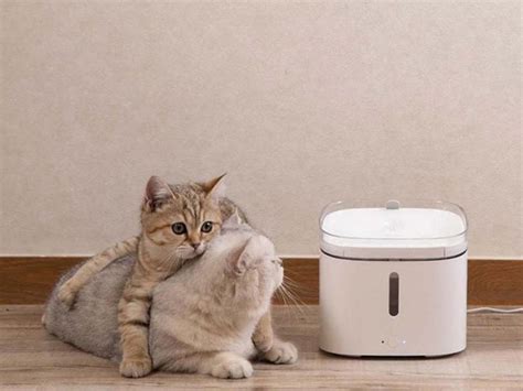 آبخوری اتوماتیک حیوانات خانگی شیائومی Xiaomi XWWF01MG Mijia Smart Pet ...