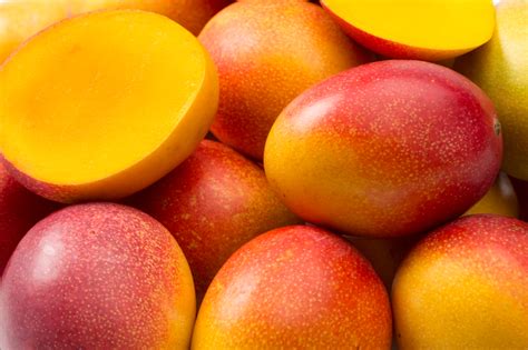 Mangobaum richtig pflegen » Anleitung für Garten & Topf