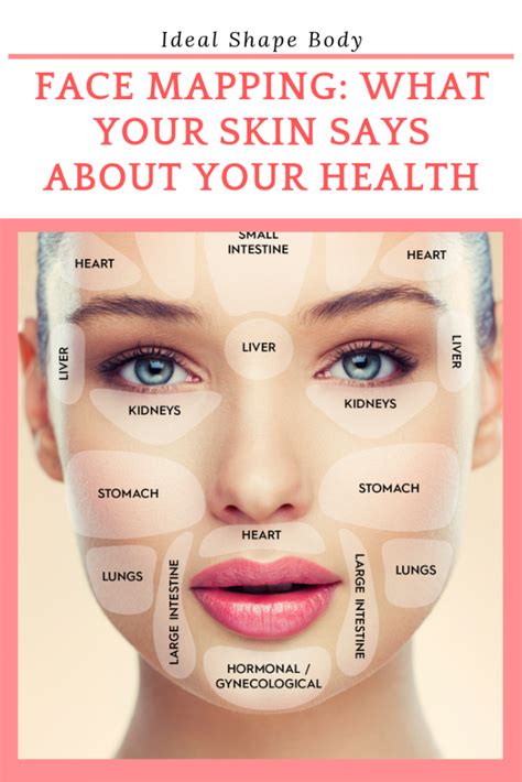 Face Mapping: What Your Skin Says About Your Health - Ideal Shape Body ...