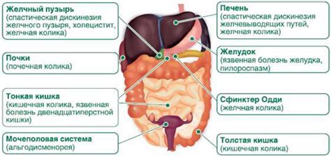 Колики в животе у взрослых: причины, виды, симптомы и лечение