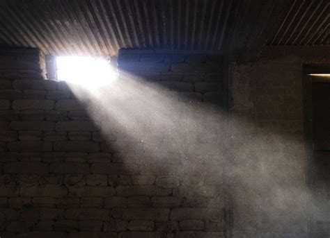 DUST | Museum of Every Day Life