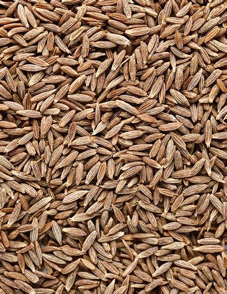 Products – Velibaba Spice