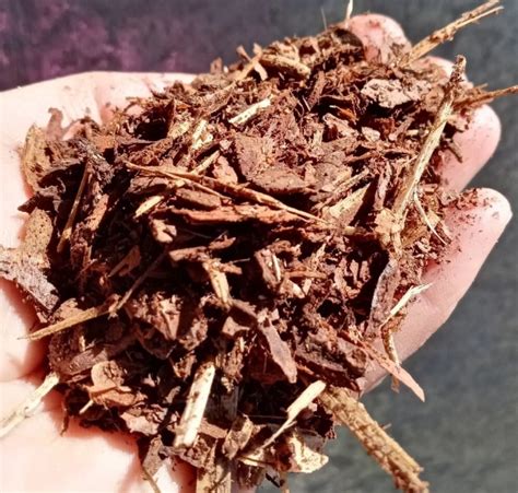 Мульча из коры: секреты производства и применения в садоводстве