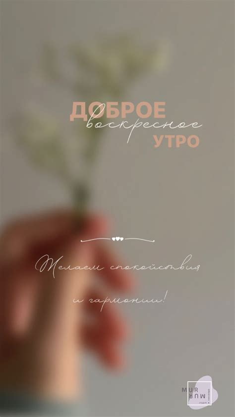 Доброе воскресное утро