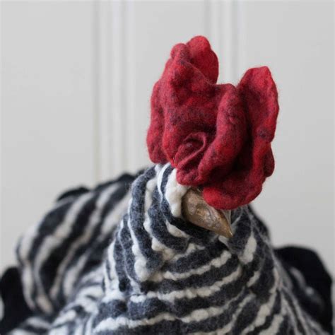 Little Coco – thecitygirlfarm