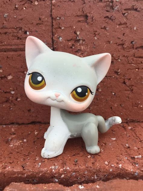 LPS Grey Short Haired Cat #138 brown eye | Lps cats, Lps littlest pet ...