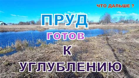 Спасаем старый пруд на даче/Очистка пруда/Будем чистить и углублять ...