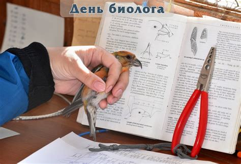 Картинки с Днем биолога 2025 (25 открыток): скачать бесплатно