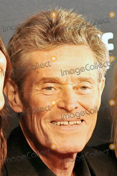 Photos and Pictures - 07 September 2023 - Toronto, Ontario Canada - Camila Morrone, Willem Dafoe ...