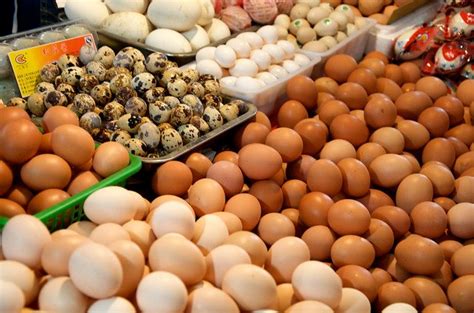 Cracking the Myth About Eggs: How to Know the Differences ...