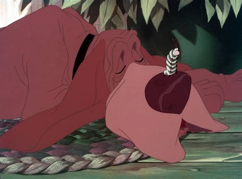 trusty - D23