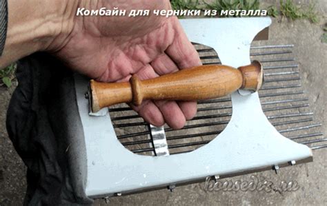 Приспособление для сбора черники: 3 вида