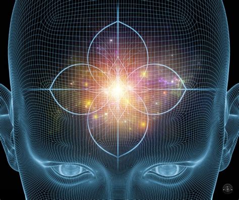 Breaking Down Bruce Lipton’s Book, “The Biology of Belief” | by Krystal ...
