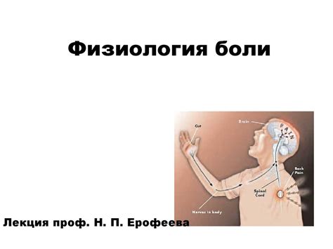 Физиология боли - презентация онлайн