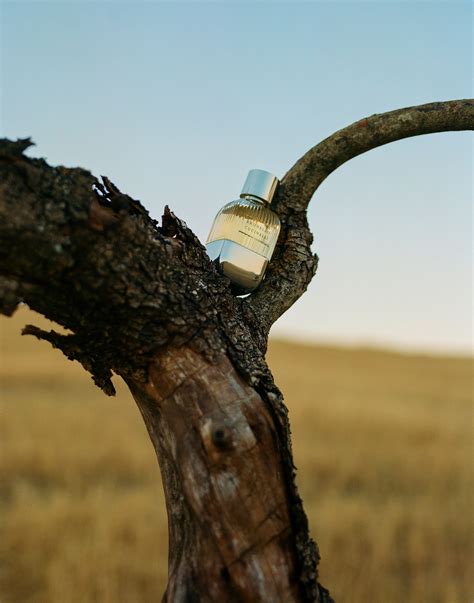 New Fragrances Collection | Brunello Cucinelli