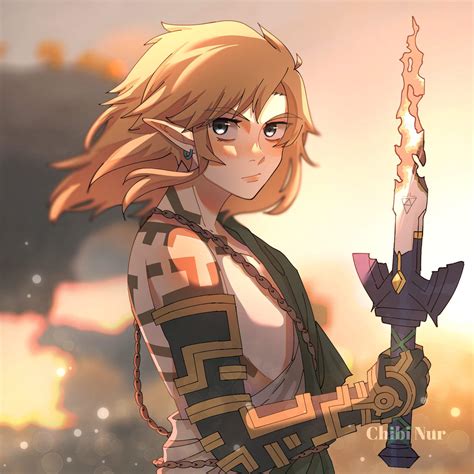 Link from TOTK (finished) | Zelda Amino