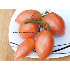 Ярсон, Кантати, Кас ( сорта польских селекционеров )