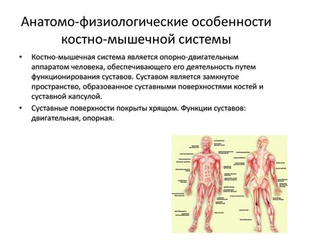 Заболевания костно-мышечной системы - презентация онлайн