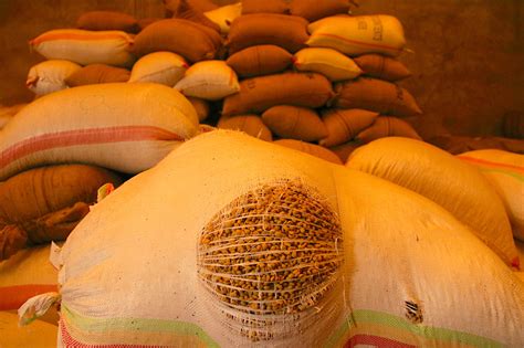 Education | Kilimanjaro Specialty Coffees