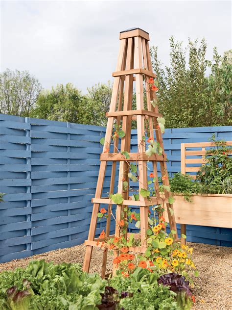 Wooden Obelisk - CedarLast Obelisk 7.5' ON SALE | Gardeners.com | Front ...