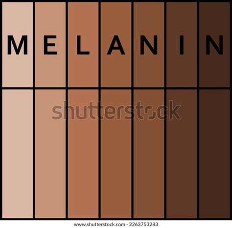 Shades Human Skin Melanin Skin Pigment Stock Vector (Royalty Free) 2263753283 | Shutterstock