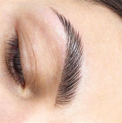 Лами🤍 | Eyebrows, Eyebrow shaping, How to grow eyebrows