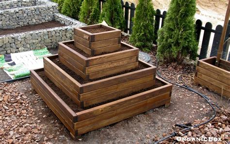 Грядки для полуниці. Високі теплі грядки. Розумні грядки Organic Box: 1 ...