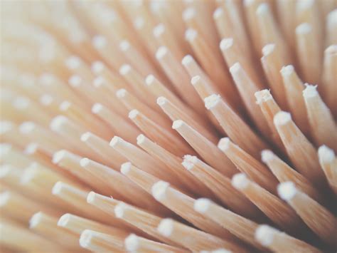 Free Images : hand, brush, finger, close up, tooth, macro photography ...
