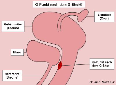 g punkt images - usseek.com