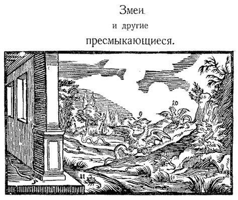 Jan Amós Komensky «Мир чувственных вещей в картинках» — Картинки и ...