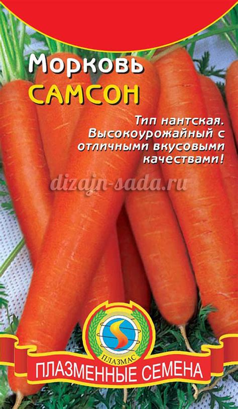 Морковь: лучшие сорта моркови с описанием, отзывы, фото