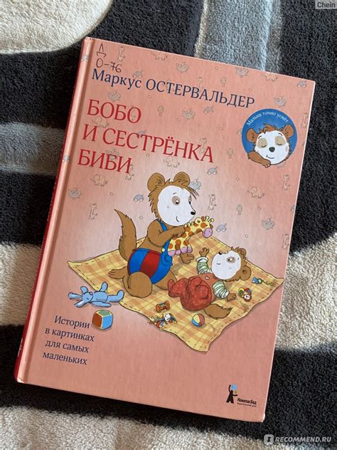 Бобо и сестренка Биби. Маркус Остервальдер - «0+ Очаровательная книга ...