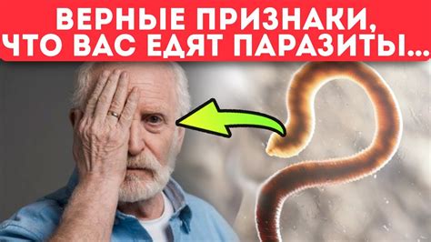 Смотри и запоминай! Вот где паразиты прячутся от чисток! Еда от глистов ...