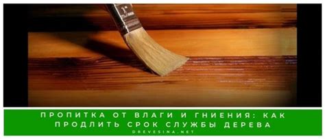 Пропитка для дерева от влаги и гниения: классификация, нанесение
