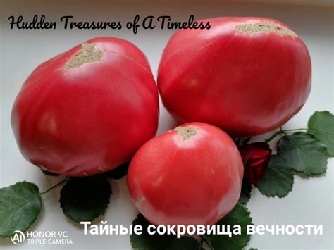 Тайные сокровища Вечности Hidden Treasures Of A Timeless Италия ...