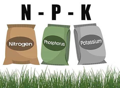 Complete NPK beginners guide for Home Growers