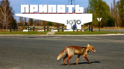 Тень Чернобыля