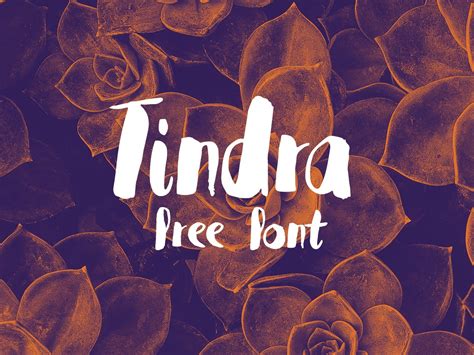 Tindra: download for free and install for your website or Photoshop.