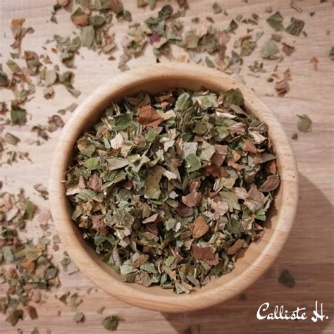 Fraisier - Feuilles coupées - Calliste Herboristerie