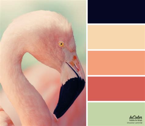 Цветовая палитра № 0013 | Color palettes for design. Палитры цвета для ...