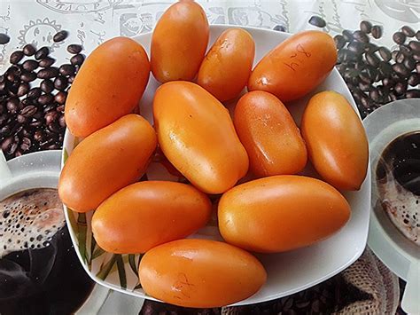 Семена:Томат Гном Щедрость Лауры /Dwarf Laura’s Bounty/. Сорта карлики ...