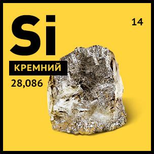 Роль кремния в жизни растений