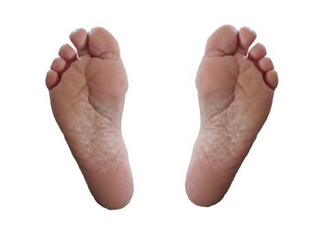 2 Feet Free Stock Photo - Public Domain Pictures
